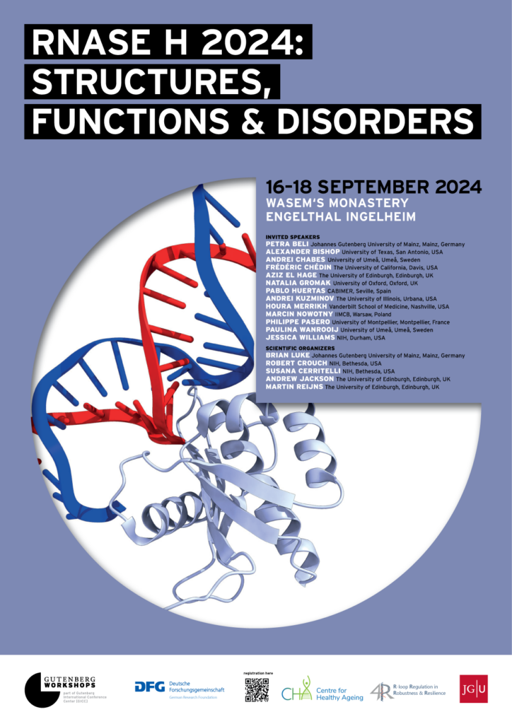 RNase H 2024 - 4R-RTG
